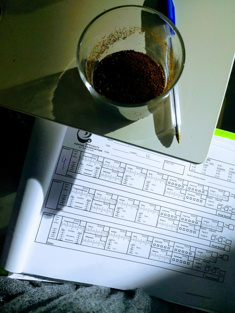 (ADVANCED) – Cupping Protocols Update – a new protocol by SCI – CAFÉ ...